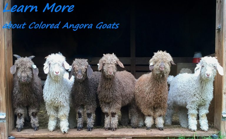 Welcome to CAGBA - cagba.org